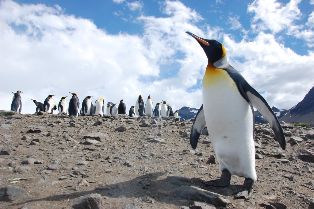 Can You Go to the North and South Pole in One Trip?